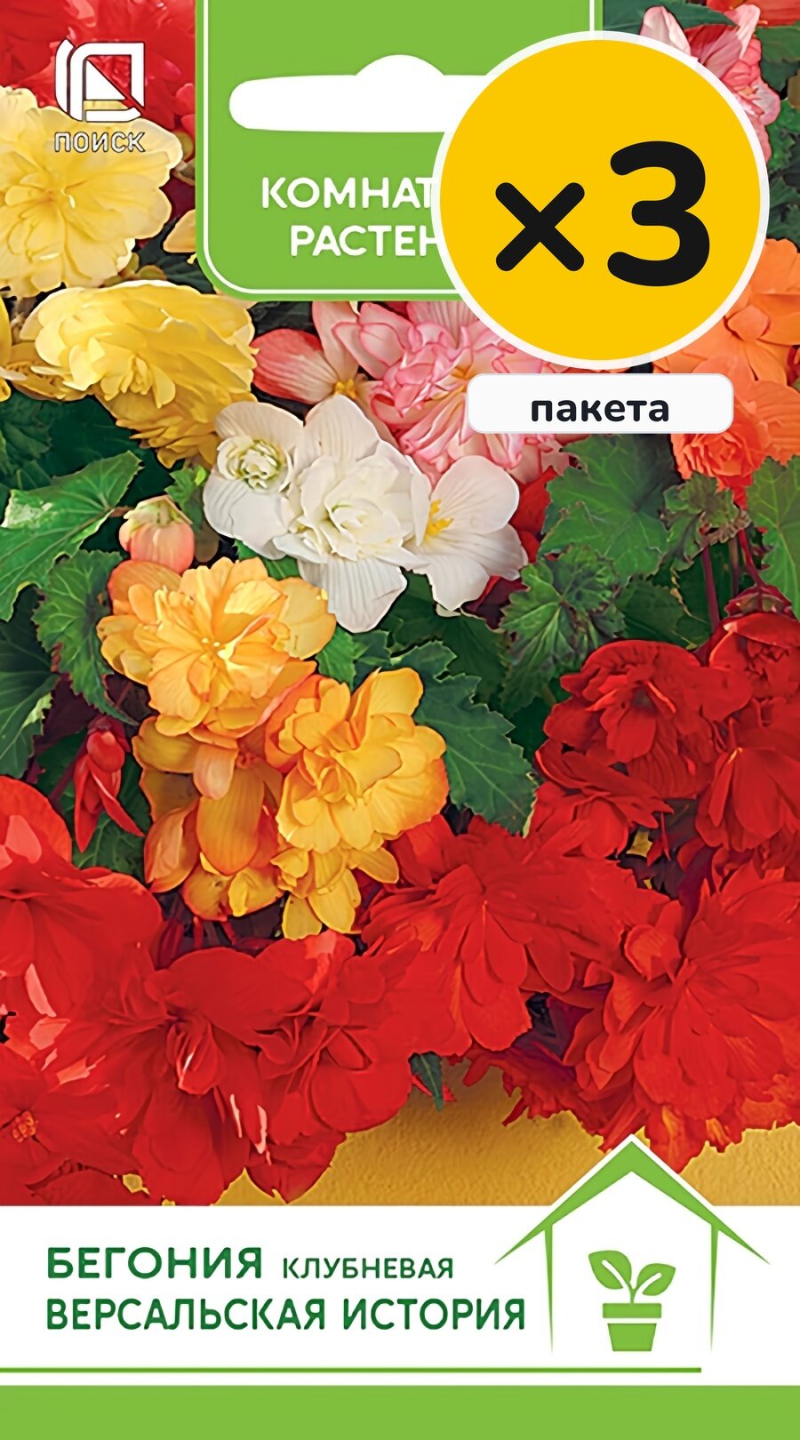 Семена бегонии Версальская история, клубневая, 15 шт, 3 пакета, Поиск, многолетник, высота до 45 см