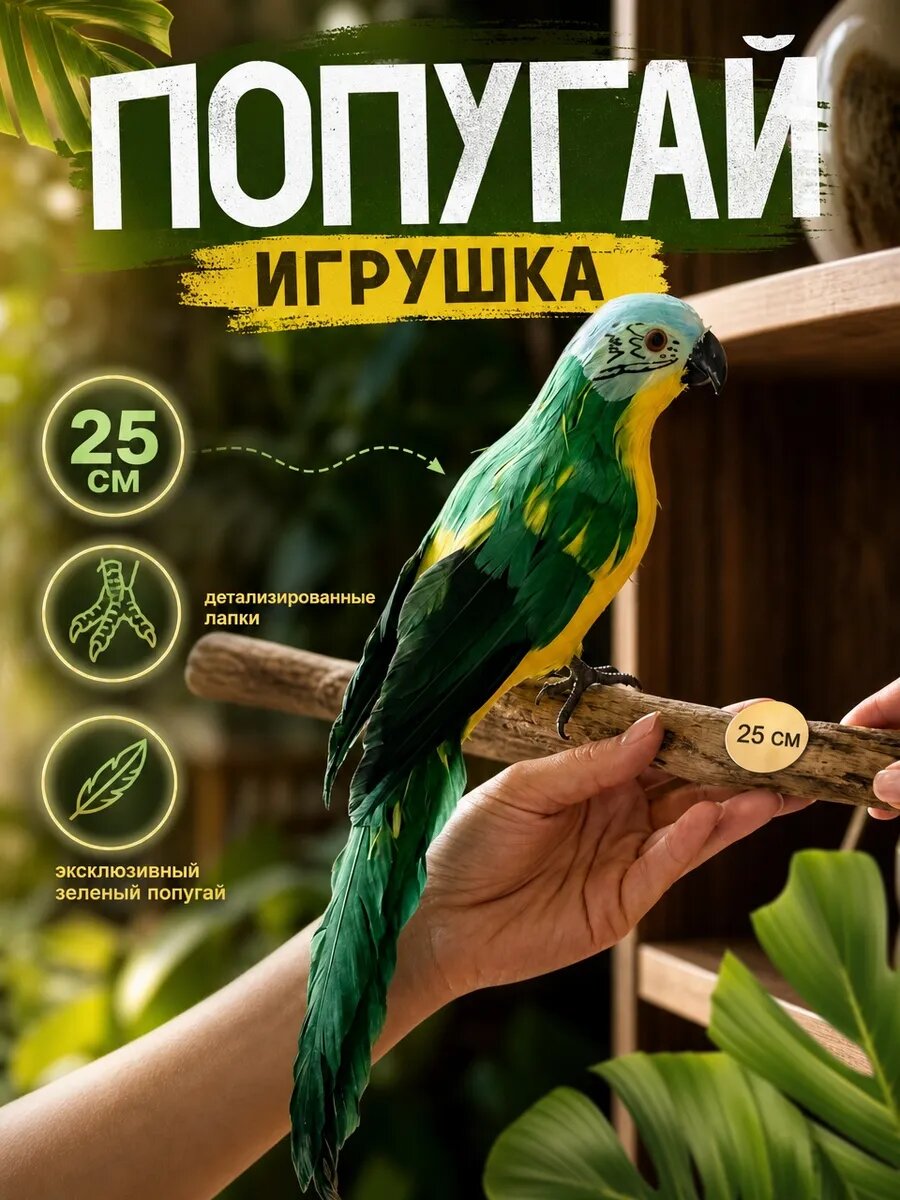 Попугай