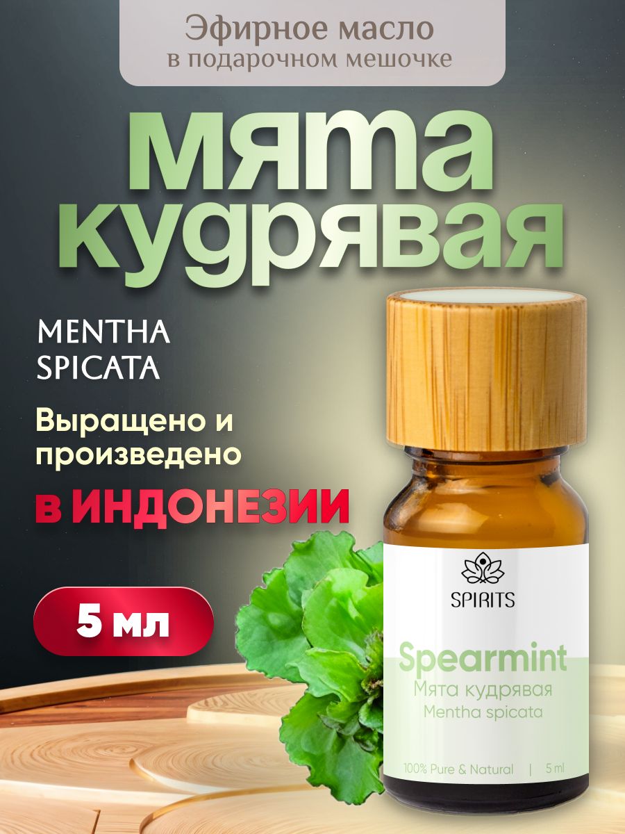Эфирное масло Мята кудрявая (Mentha spicata ), Индонезия, 5 мл