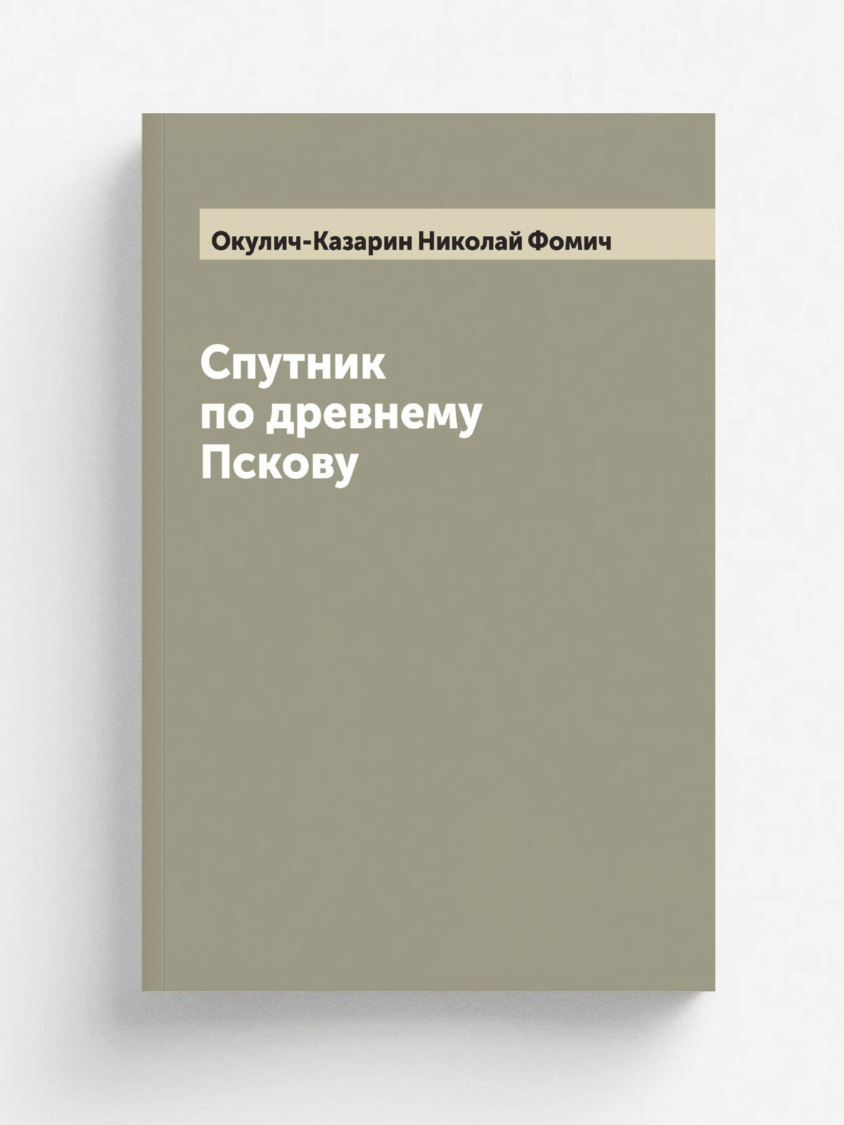 Спутник по древнему Пскову