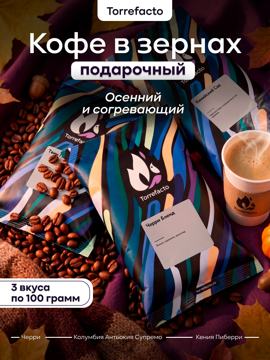 Подарочный набор кофе в зернах Torrefacto "Осенний", Черри, Амели, Твин Пикс, 3 упаковки по 100 гр.