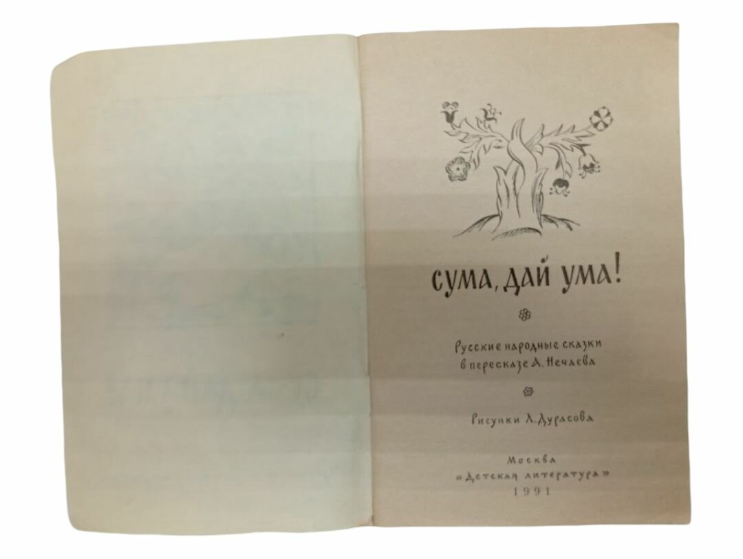 Сума, дай ума — фото 1