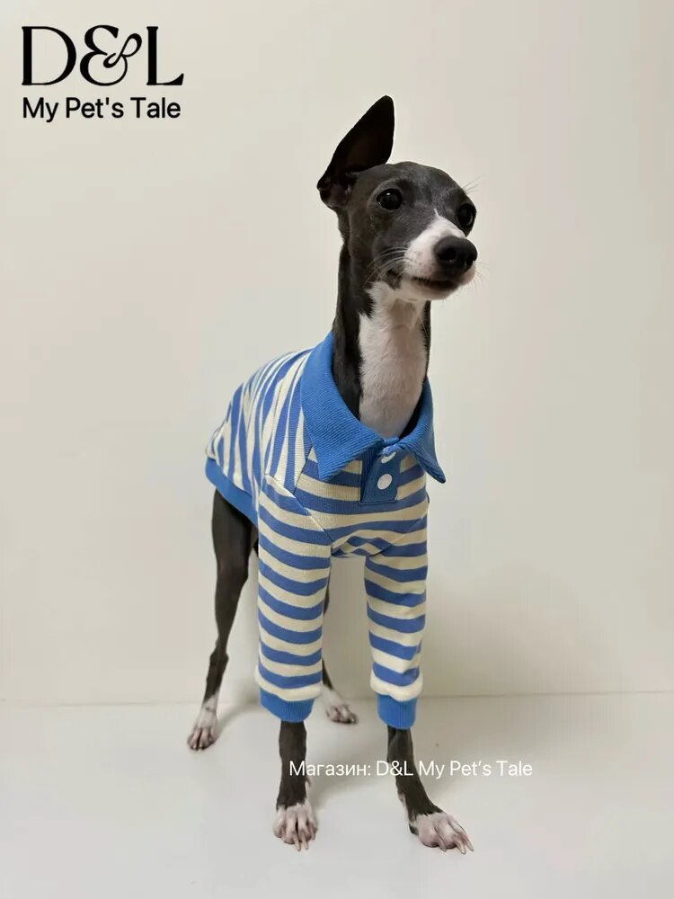 Поло для собак D&L My Pet's Tale с длинным рукавом, хлопковое, в полоску (синий/зеленый/черный), размеры 1-10 для собак 3-25 кг