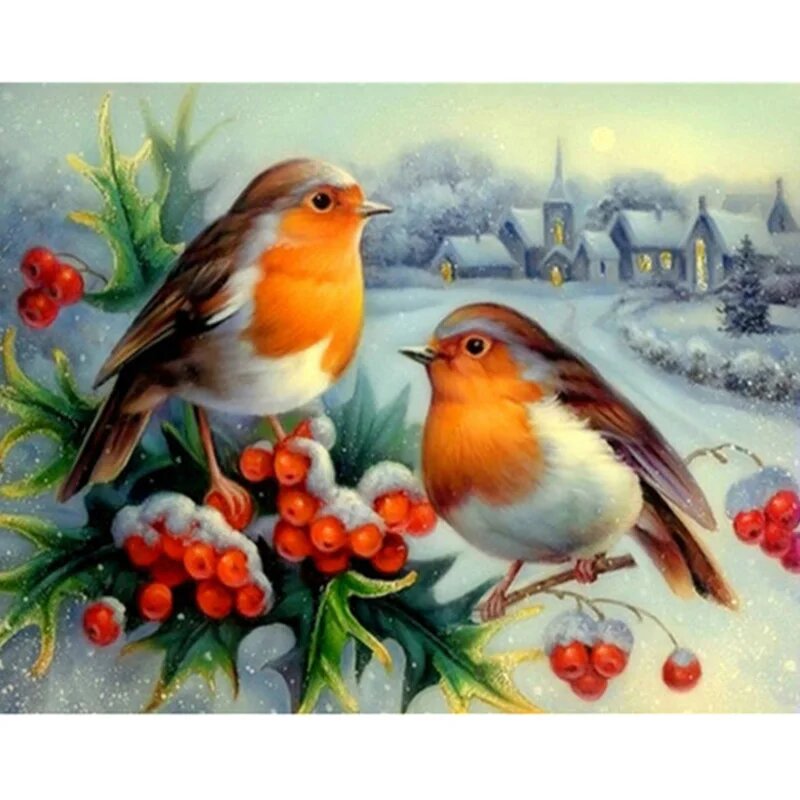 Алмазная живопись HOMFUN "Животное птица" Square Drill 30x40cm, Красный