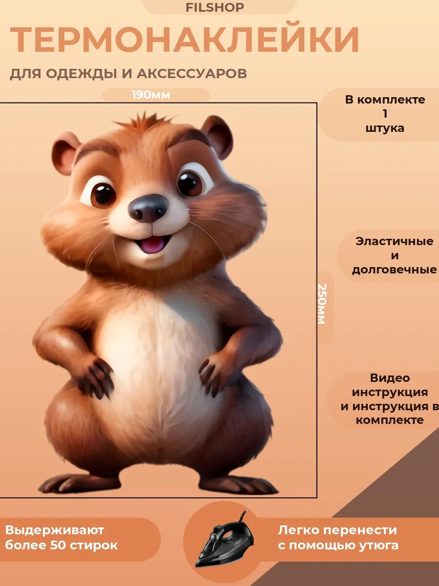 Термонаклейка на одежду