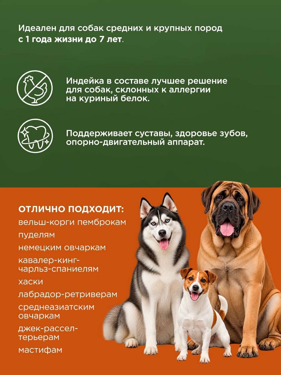 Сухой корм для собак средних и крупных пород Rush Basic, индейка, 12 кг — фото 1