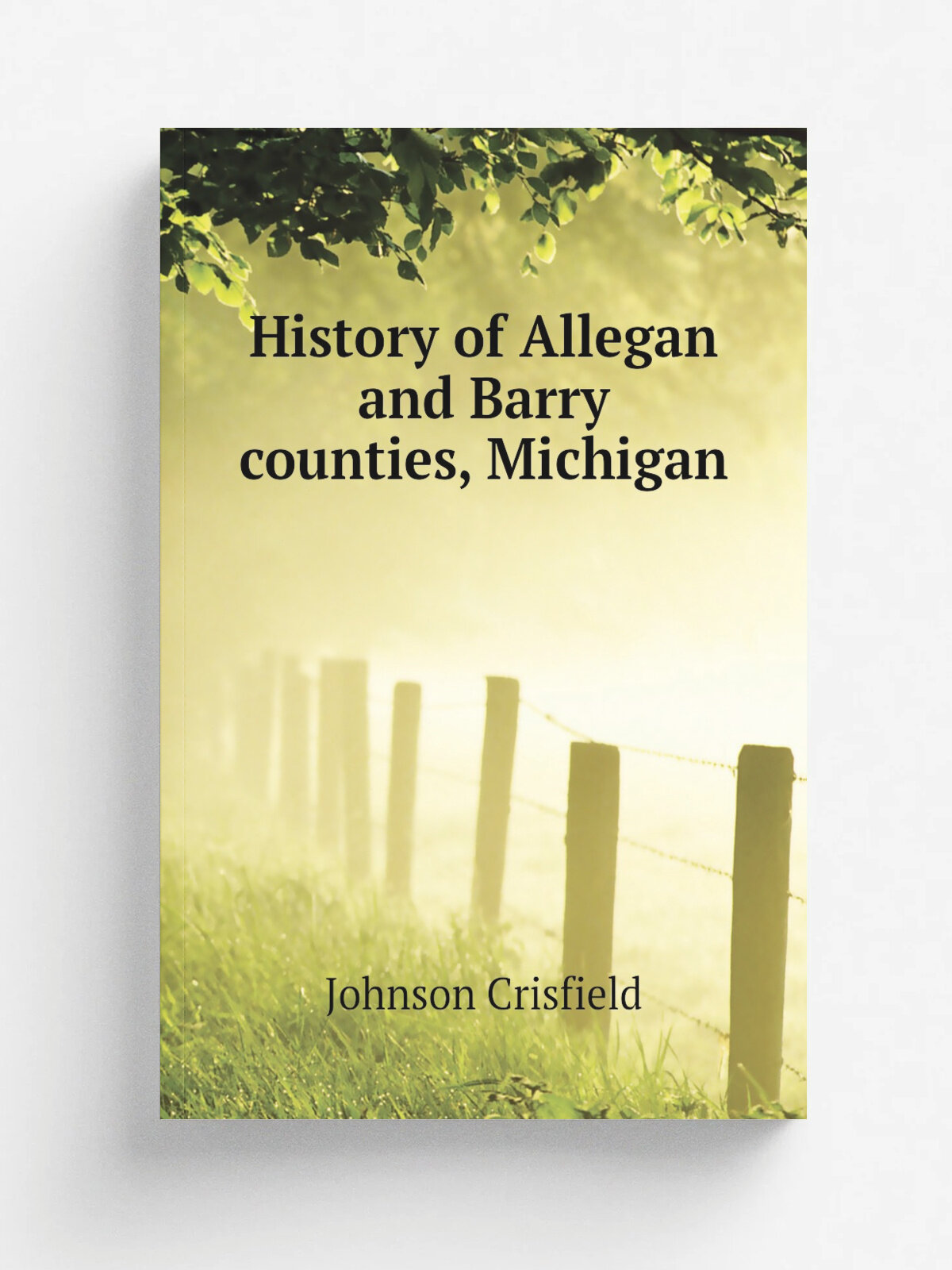 History of Allegan and Barry counties, Michigan | Johnson Crisfield | Репринт