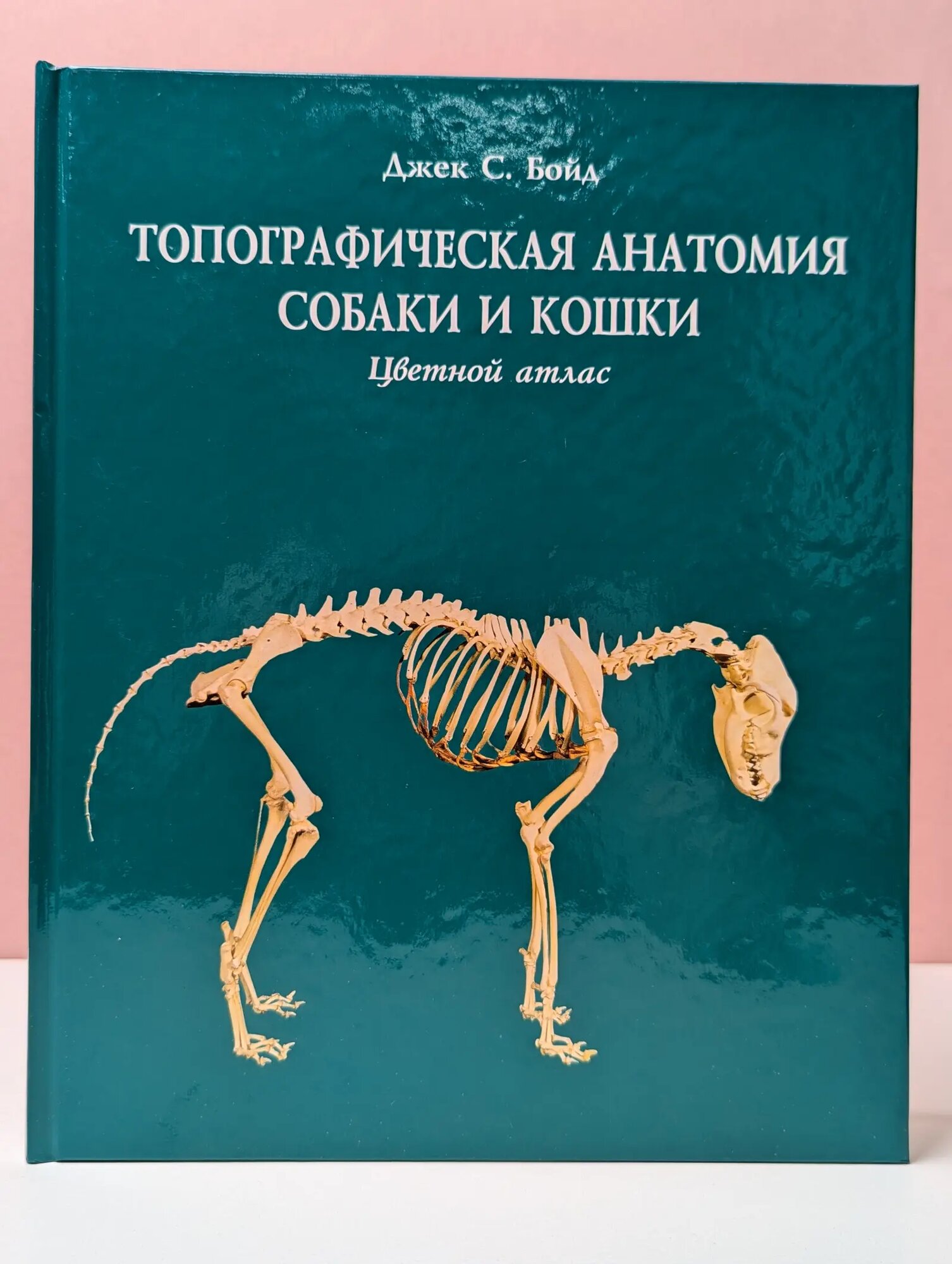 Топографическая анатомия собаки и кошки Бойд Джек С. 1998
