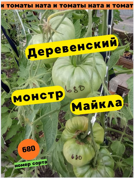 Семена томата Деревенский монстр Майкла (Коллекционный )10 шт
