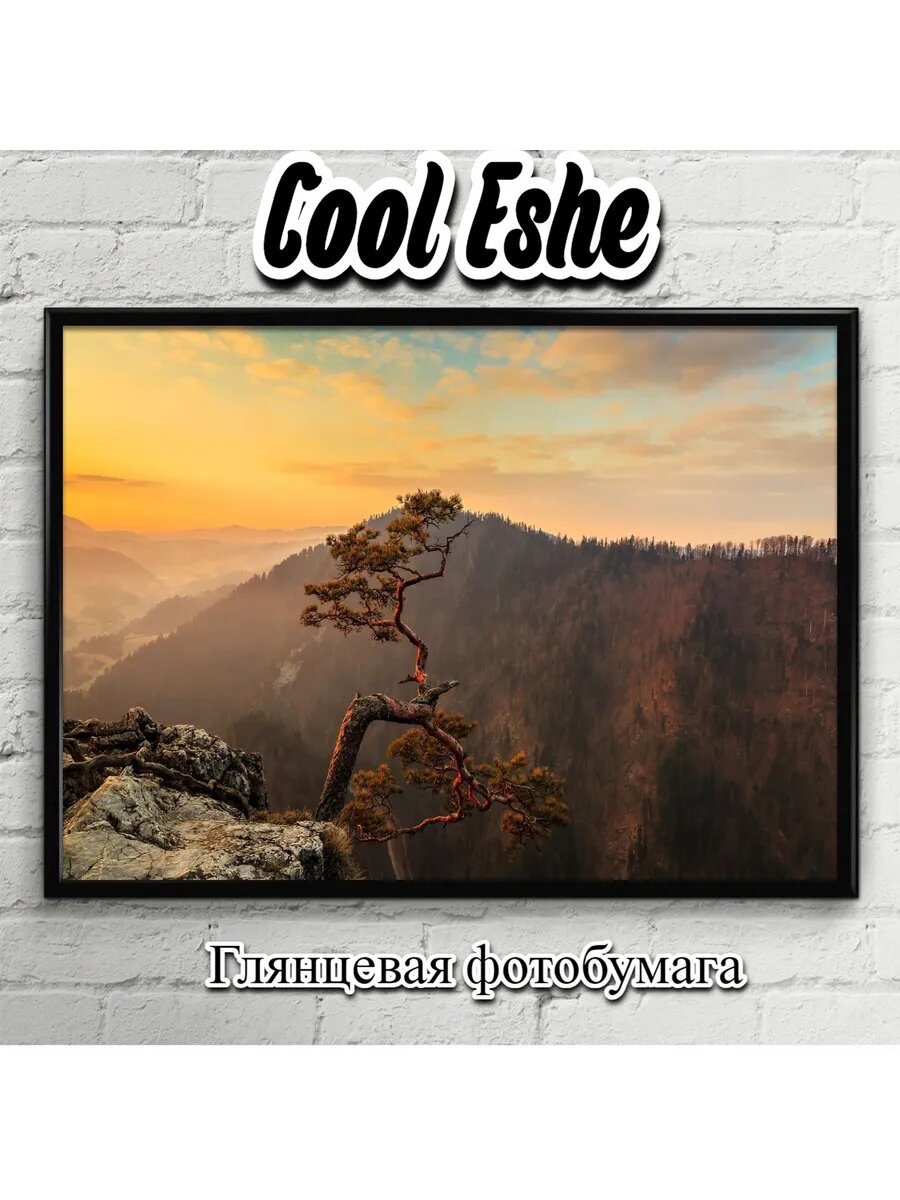 Плакат "lone tree on top of mountain" для интерьера А2