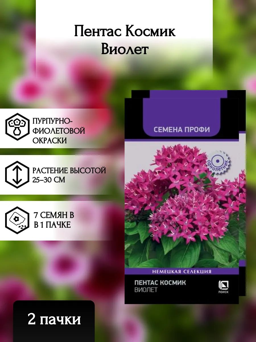 Семена, Пентас Космик Виолет, 2 пачки по 7 семян