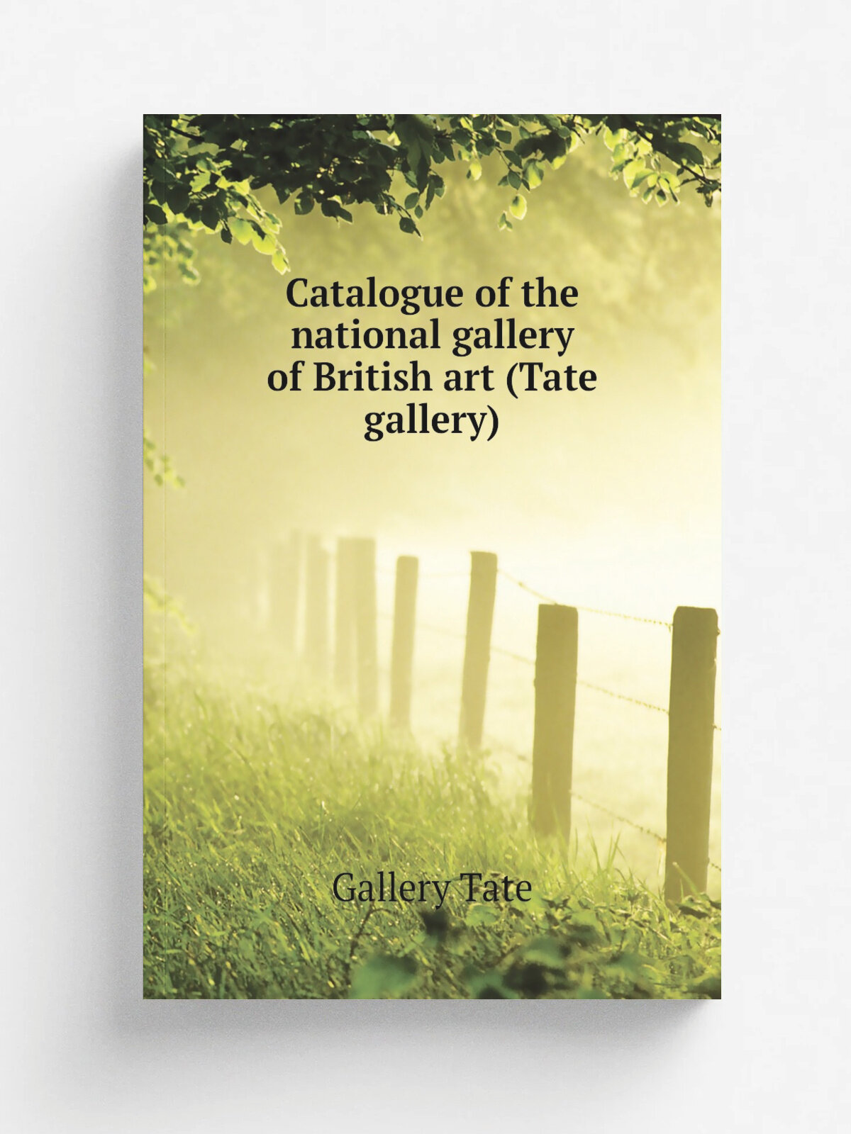Catalogue of the national gallery of British art (Tate gallery) | Gallery Tate | Репринт