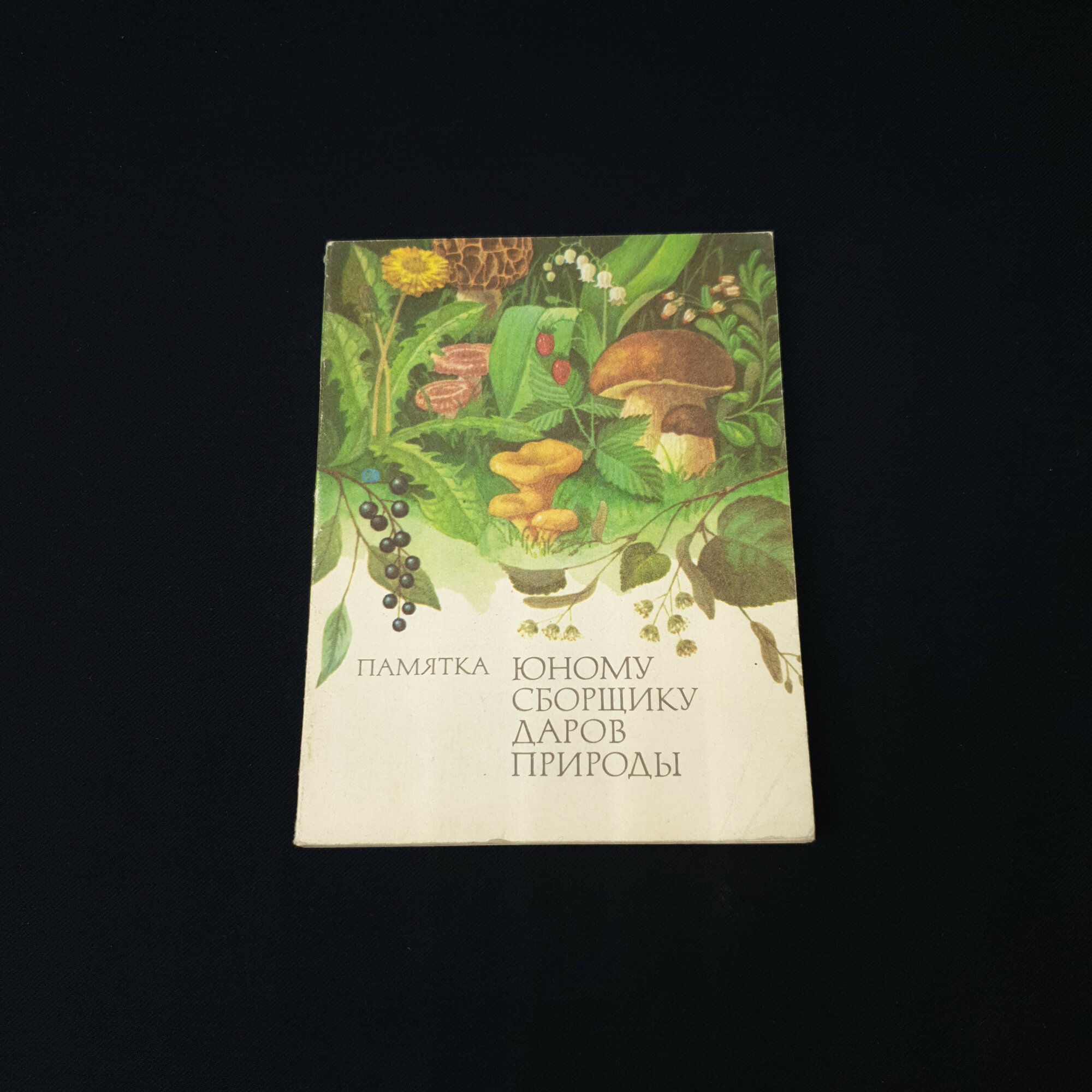Памятка юному сборщику даров природы. Книга СССР, справочное пособие по растениям и грибам