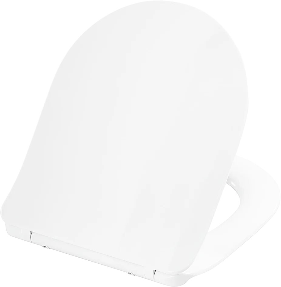 Крышка-сиденье BelBagno BB2034SC с микролифтом