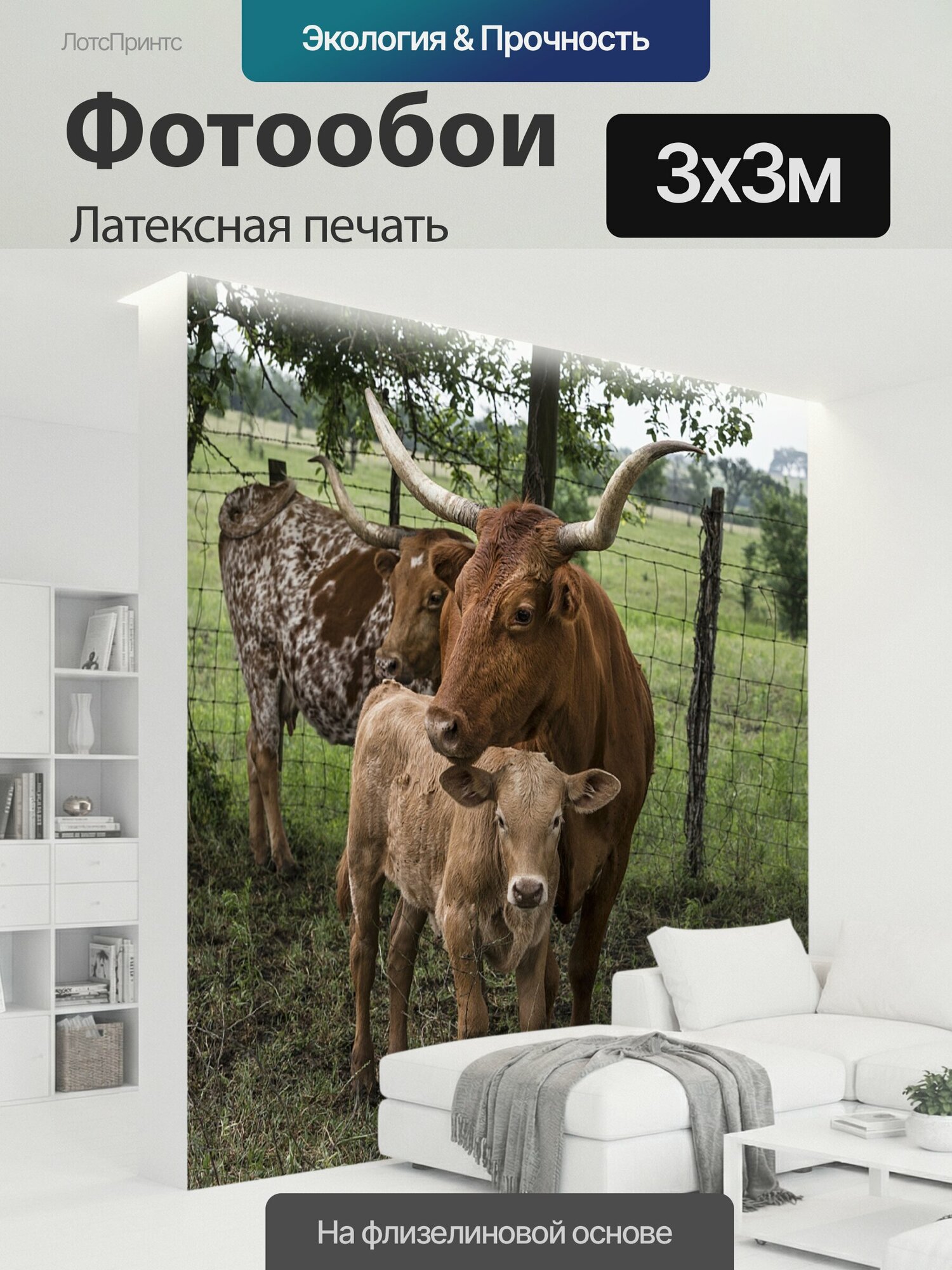 Фотообои моющиеся ударопрочные "Крупный рогатый скот Longhorn Теленок и Корова крупный рогатый скот дровосеков Телец корова ковбои остальное." 300x300 см. латексная печать