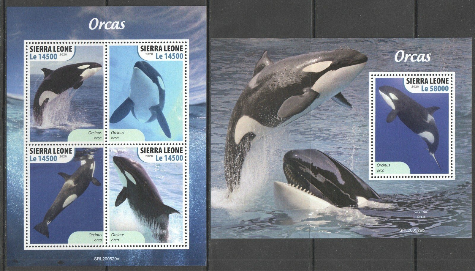 Марки 2020 год Сьерра-Леоне Косатки Касатки Фауна #12855-12858+Бл2049 MNH