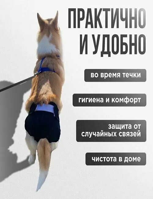 Подгузники для животных — фото 1