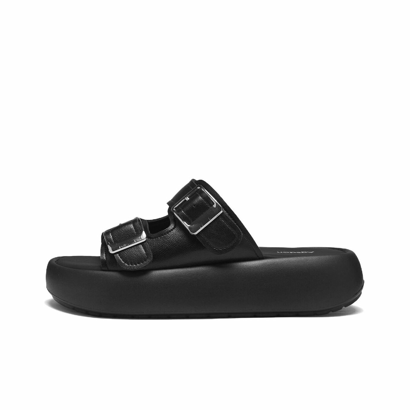 Сланцы