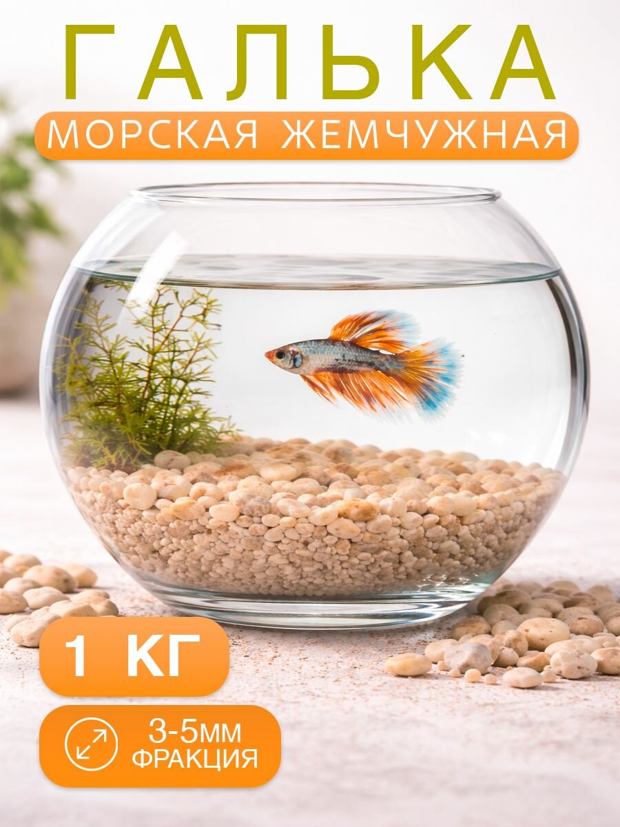 Натуральный грунт жемчужная галька для аквариума, террариума, флорариума фракция 0,3 - 0.5 см, 1 кг