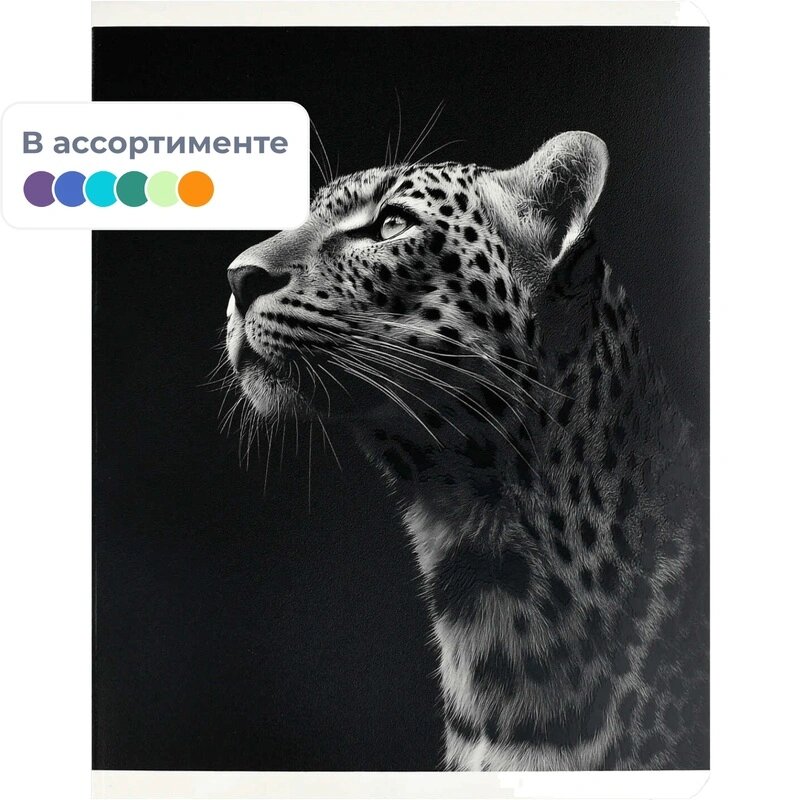 Тетрадь 48 л, клетка монохромный леопард А5+, в ассорт/70925