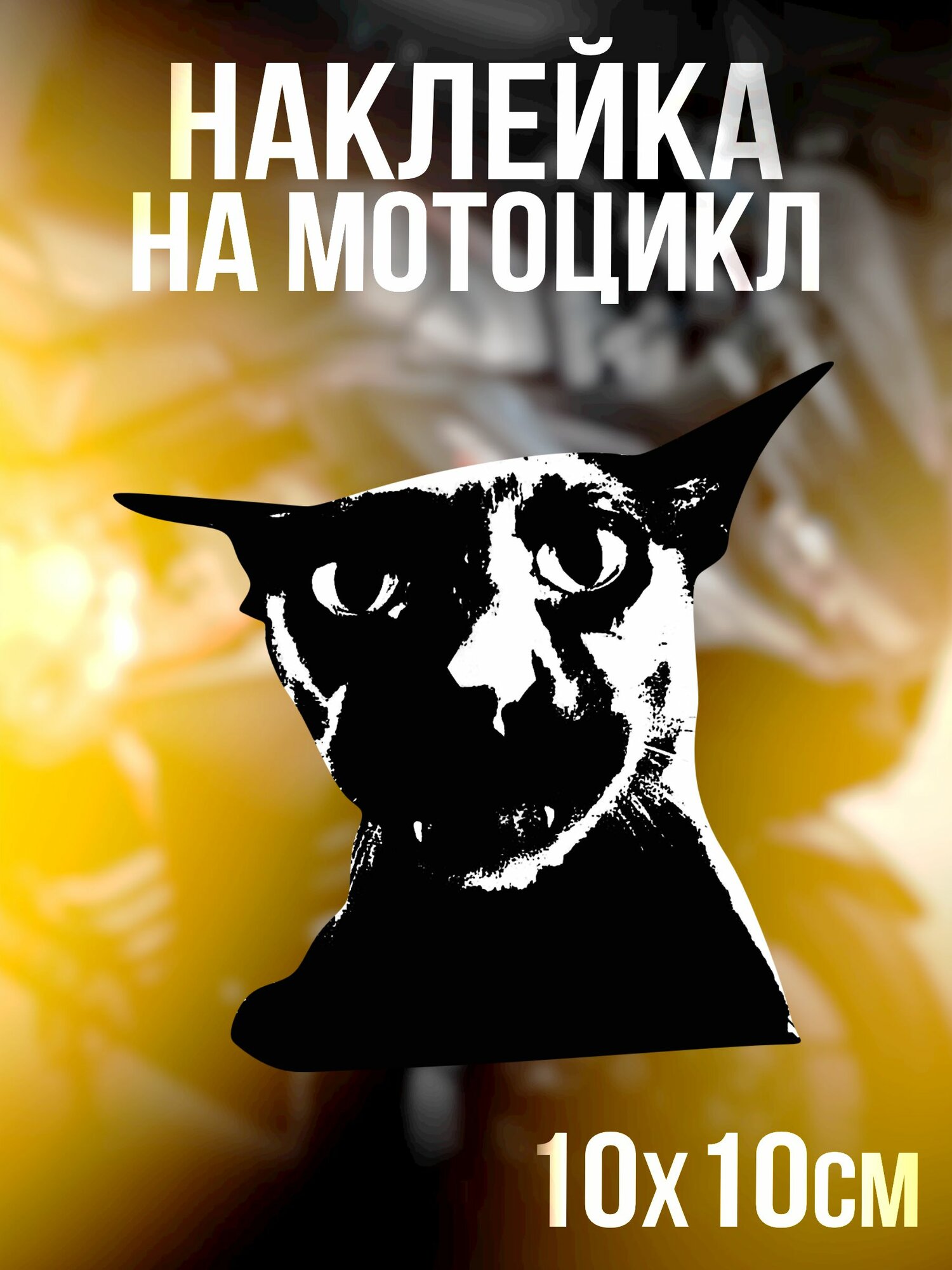Наклейка на мотоцикл мем Кот