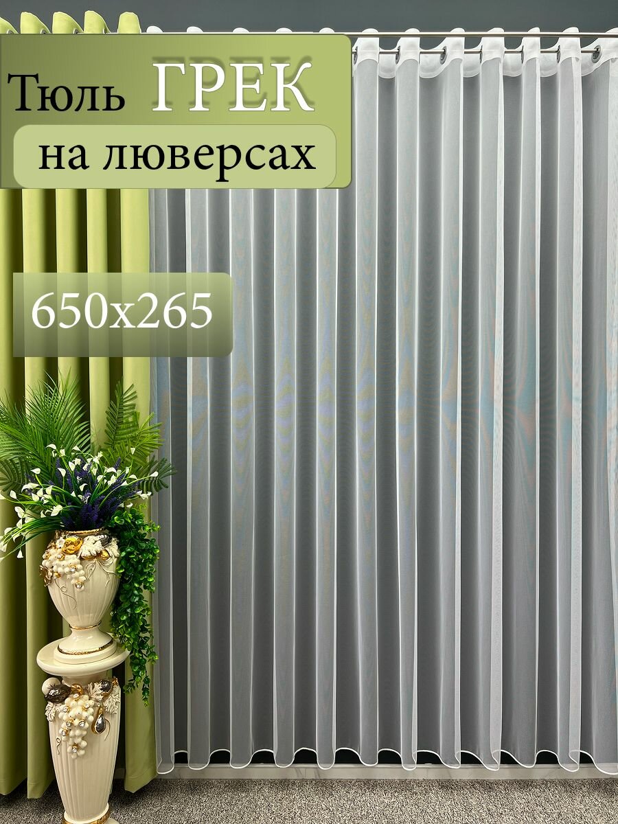 Grek_SL_бел_650х265