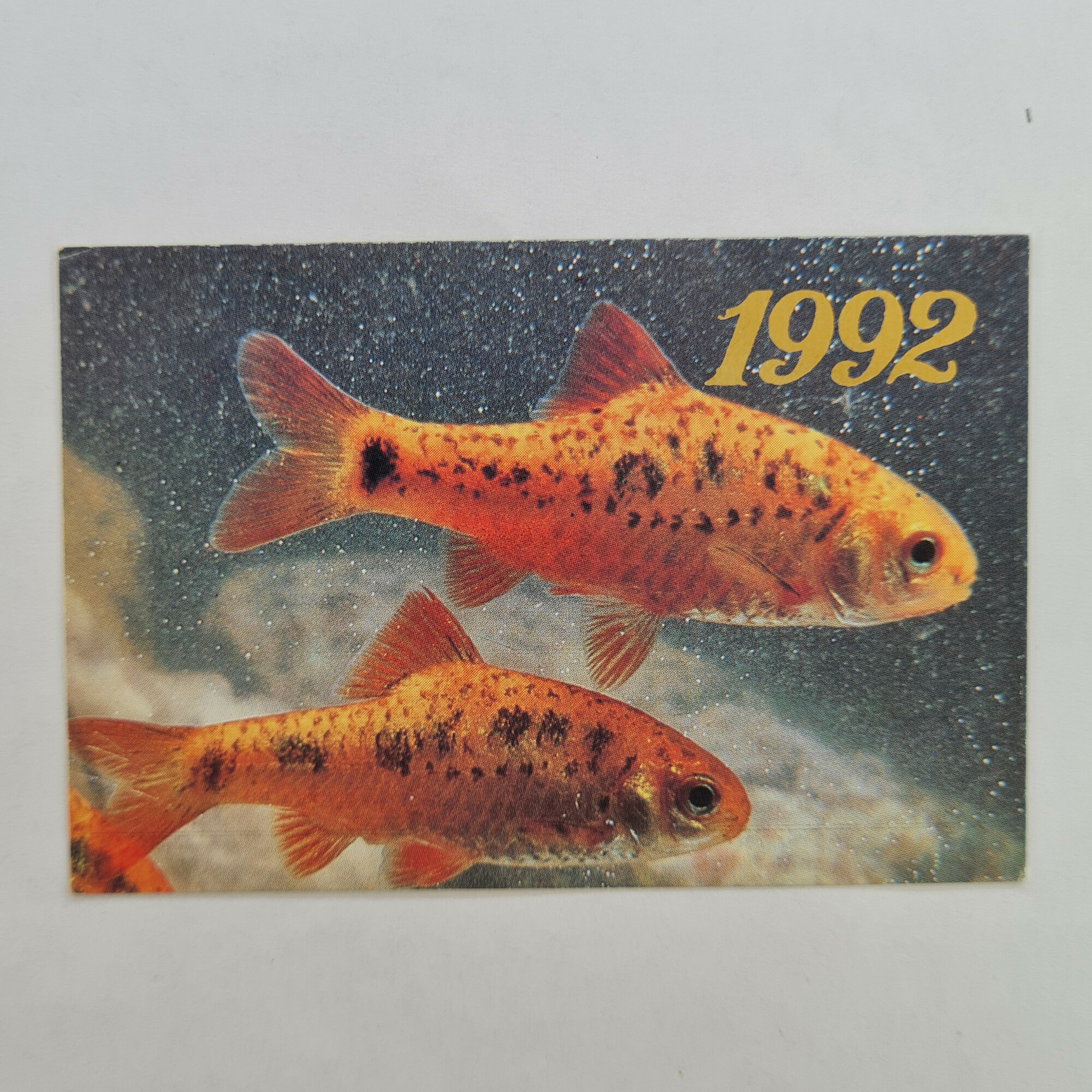 Карманный календарик 1992. Золотой гурами, аквариумные рыбки. Календарь винтажный Панорама