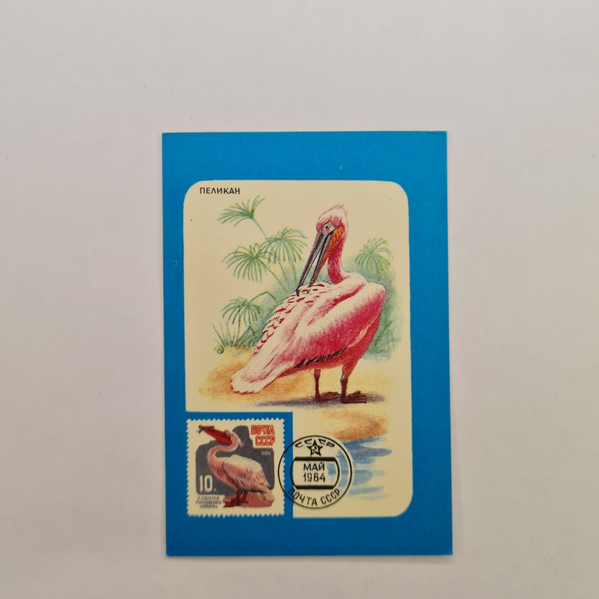 Карманный календарик СССР 1990. Пеликан, почтовая марка, птицы. Советский календарь