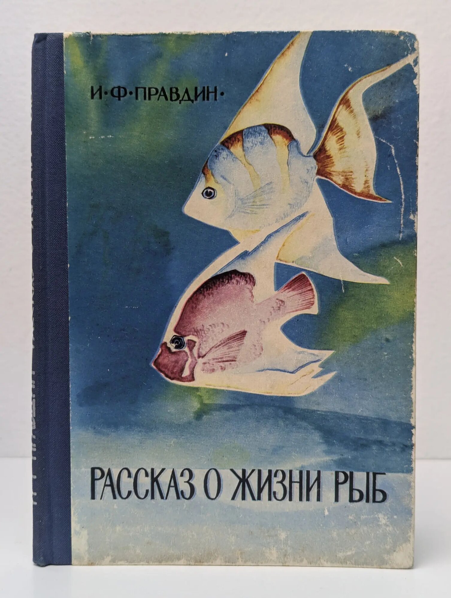 Рассказ о жизни рыб Правдин Иван Федорович 1972
