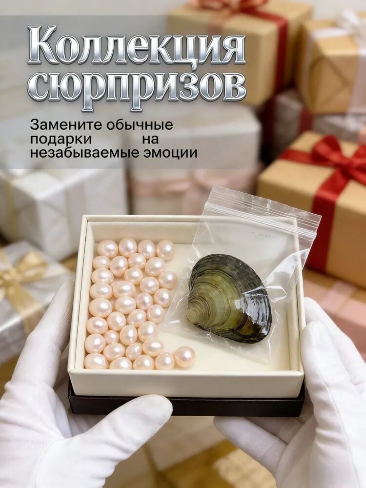 Жемчужные мидии в вакуумной упаковке, одна мидия и одна жемчужина