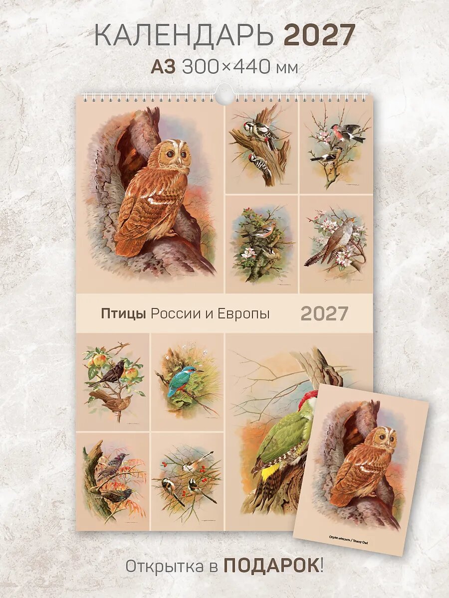 Календарь А3 на 2027 г. "Птицы России и Европы", настенный перекидной