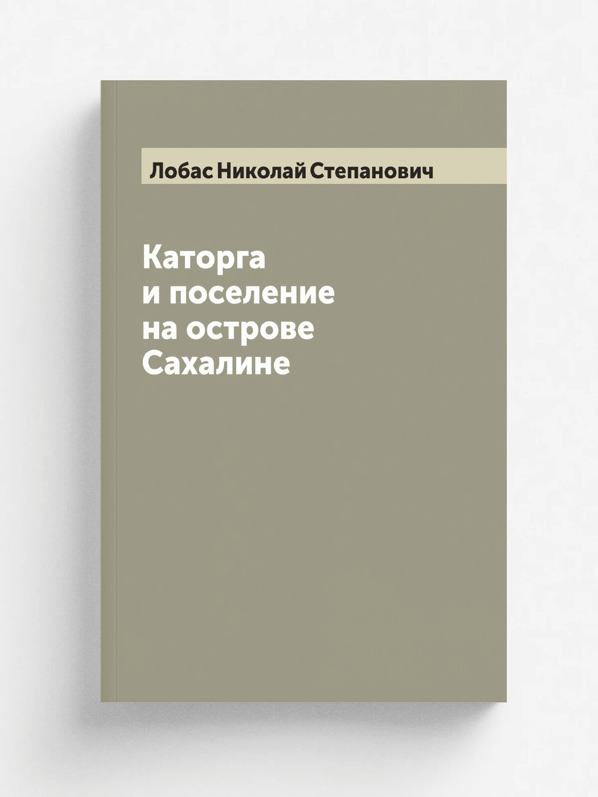 Каторга и поселение на острове Сахалине