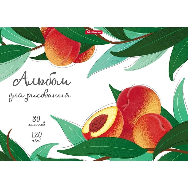 Альбом для рис.30 л Juicy Fruits,58561