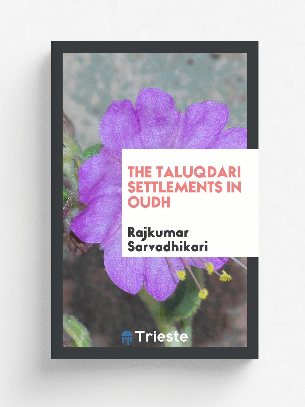 The Taluqdari Settlements in Oudh
