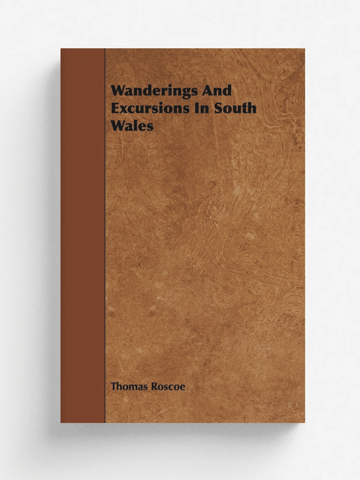 Wanderings And Excursions In South Wales