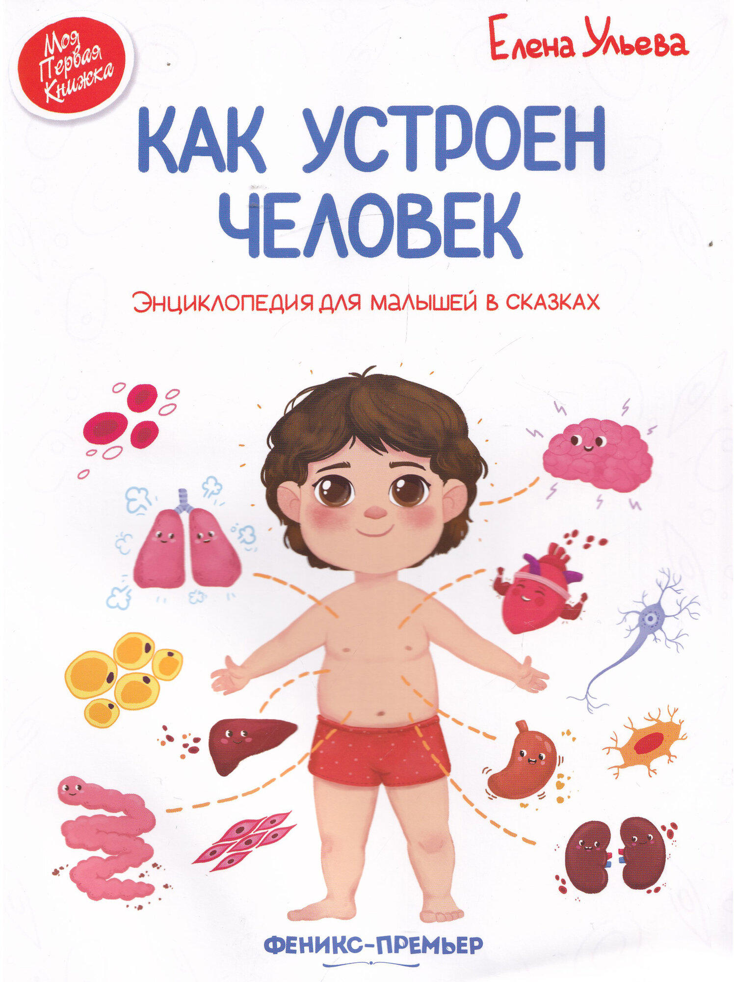 Моя первая книжка. Энциклопедия для малышей в сказках. Как Устроен Человек