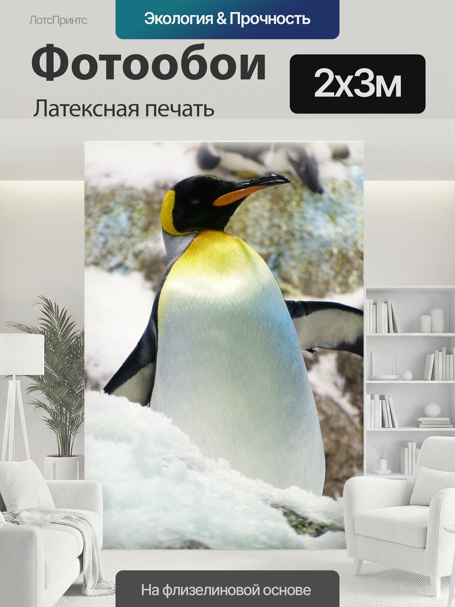Фотообои моющиеся ударопрочные "Королевский пингвин, пингвин, aptenodytes patagonicus" 200x300 см. латексная печать