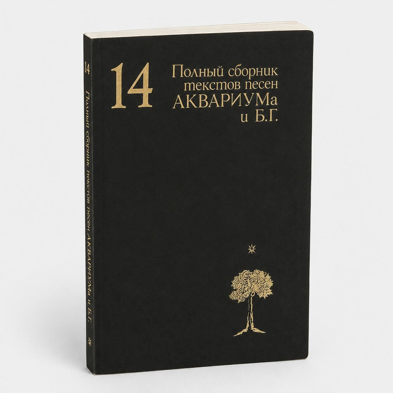 14. Полный сборник текстов песен аквариума и Б. Г.