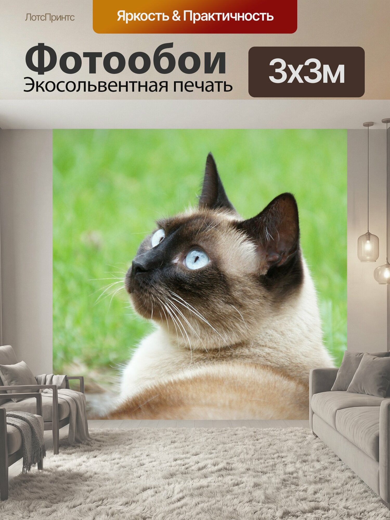 Фотообои "Кот, животное, сиамский тайский круглая голова" 300x300 см. экосольвентная печать