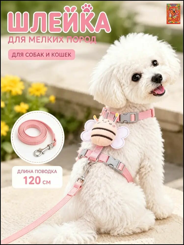 Шлейка для собак мелких пород