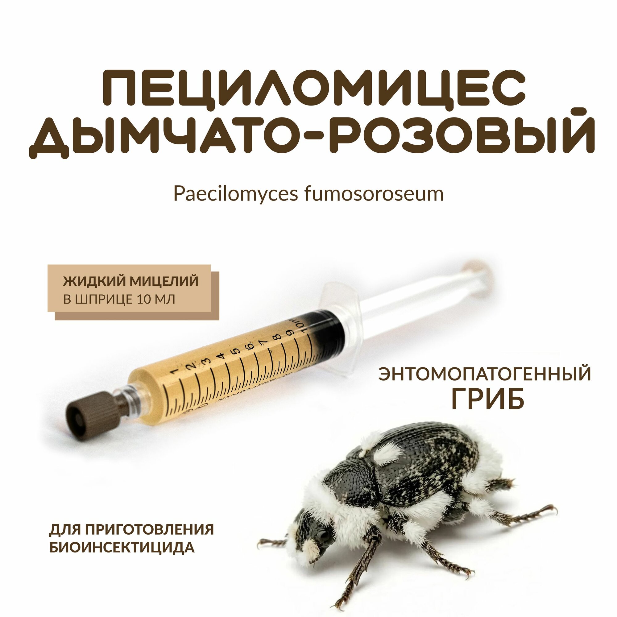 Жидкий мицелий Пециломицес дымчато-розовый