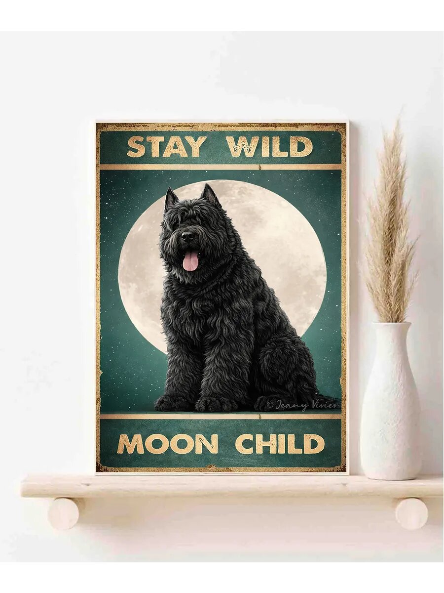 Бувье де Фландр, Stay Wild Moon Child, Плакат 30x42см
