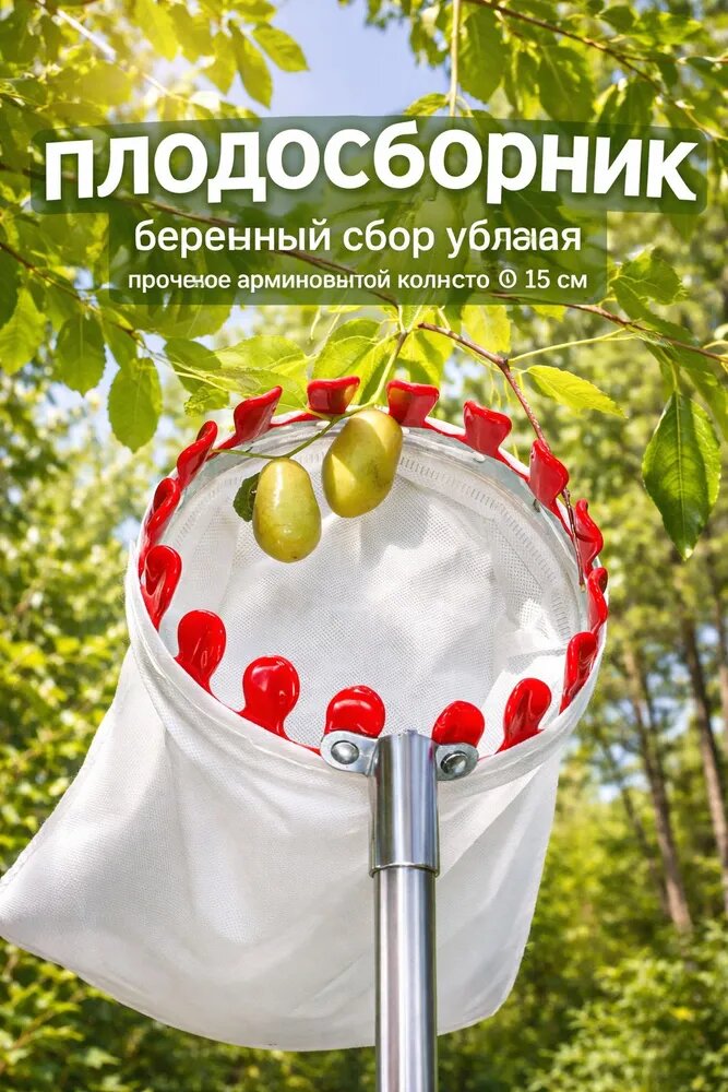 Плодосборник