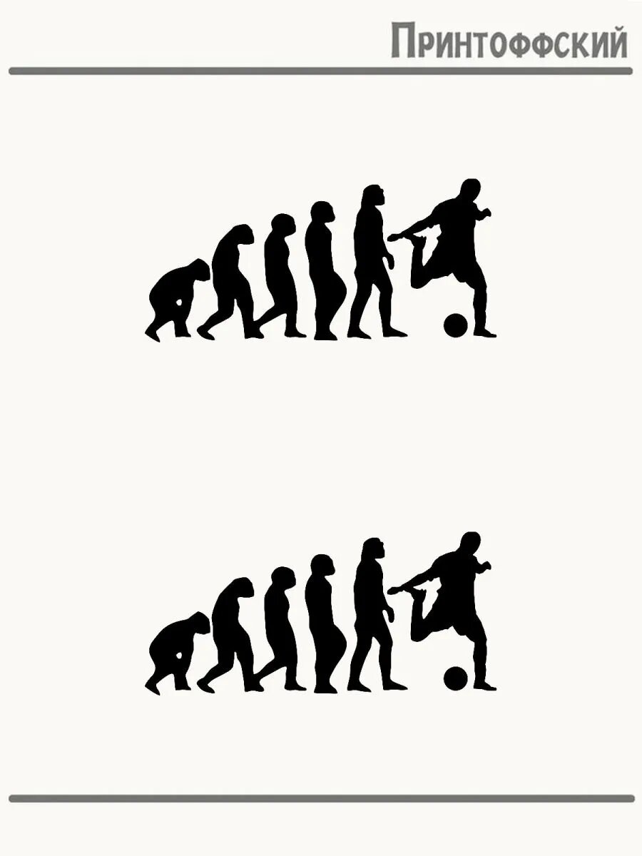 2-е (Две) Термонаклейки эволюция evolution