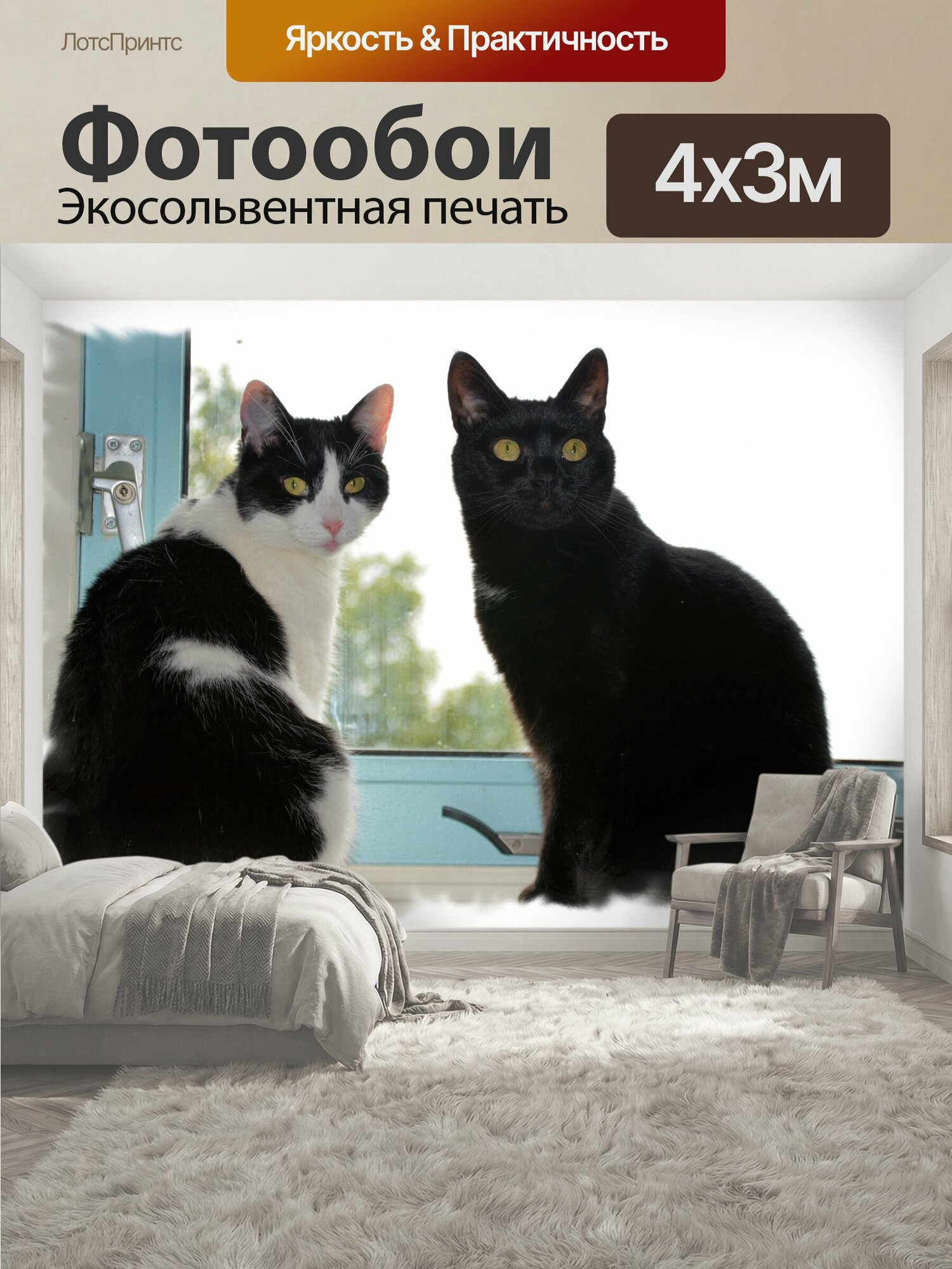 Фотообои "Что происходит Там что-то происходит кот кошка животное домашнее животное глаза черный любопытная" 400x300 см. экосольвентная печать