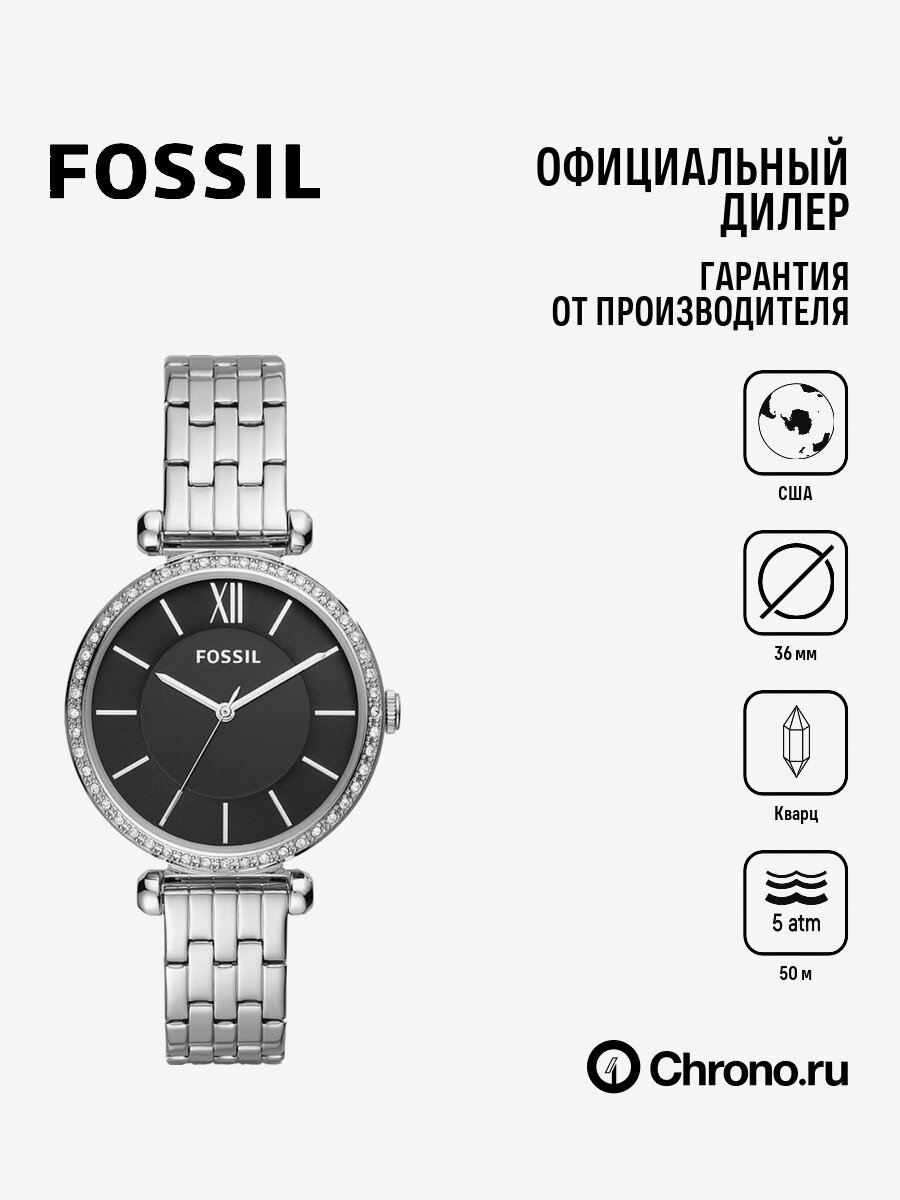  FOSSIL Tillie