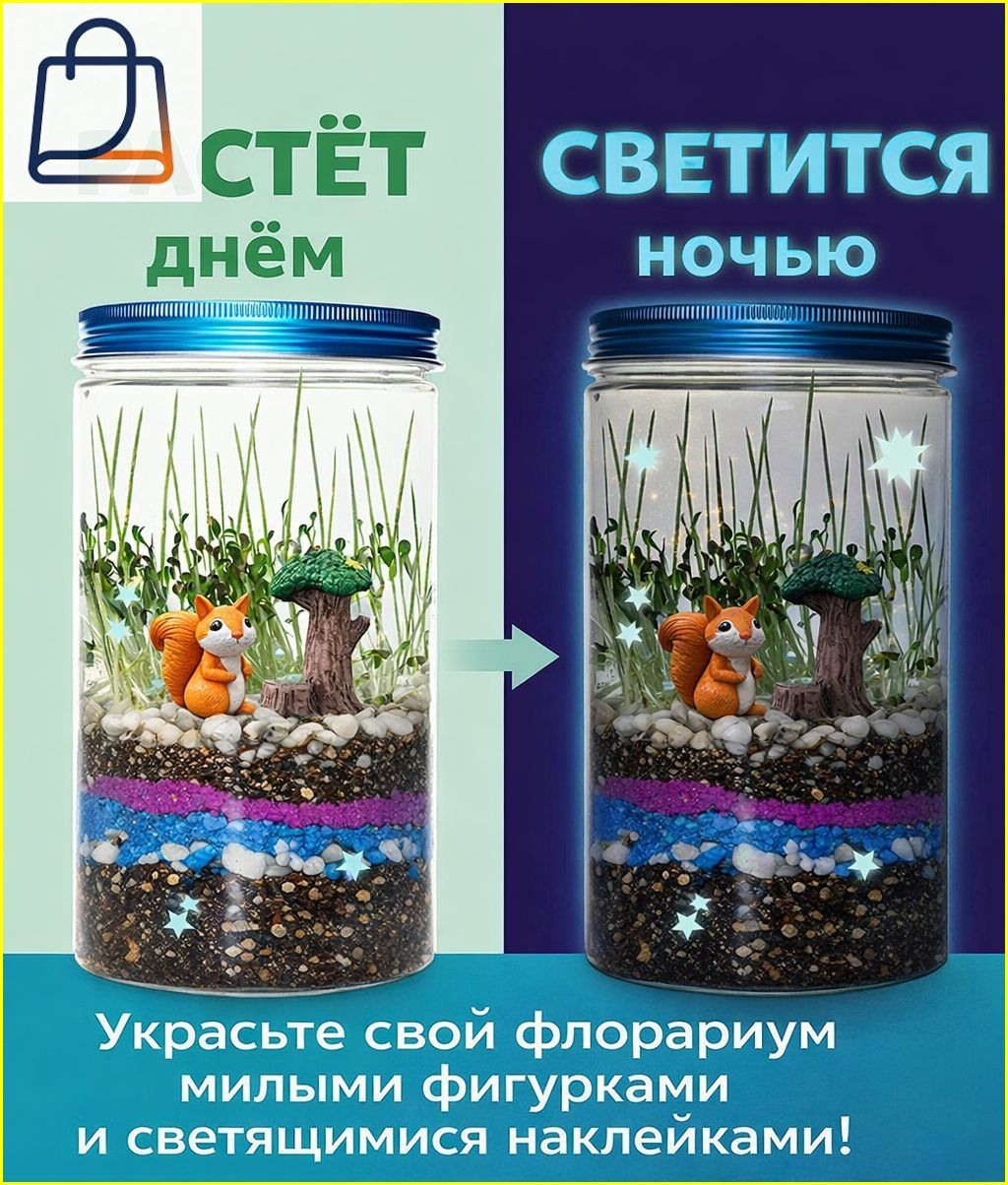 Набор для выращивания растений для детей и подростков