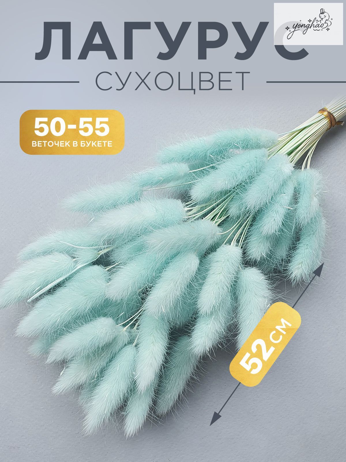 Сухоцветы Лагурус 55 см 55 шт белый