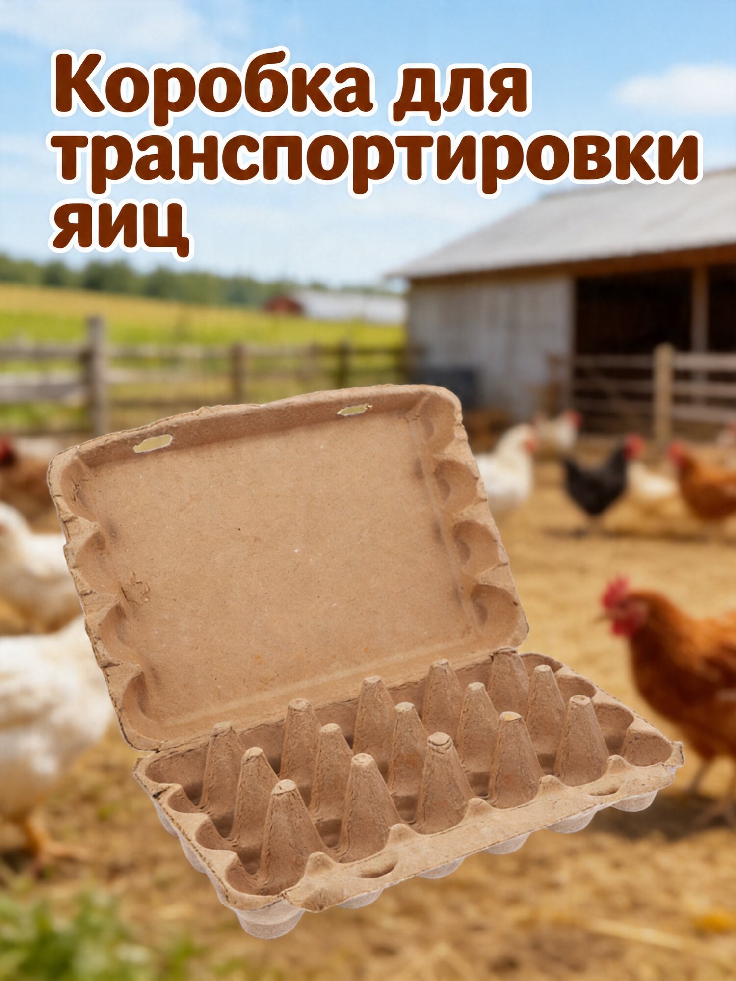 Коробка Для Яиц Из Бумажной Массы Объемом 24 Штук Размер 29.40X20.50X6.90Cm