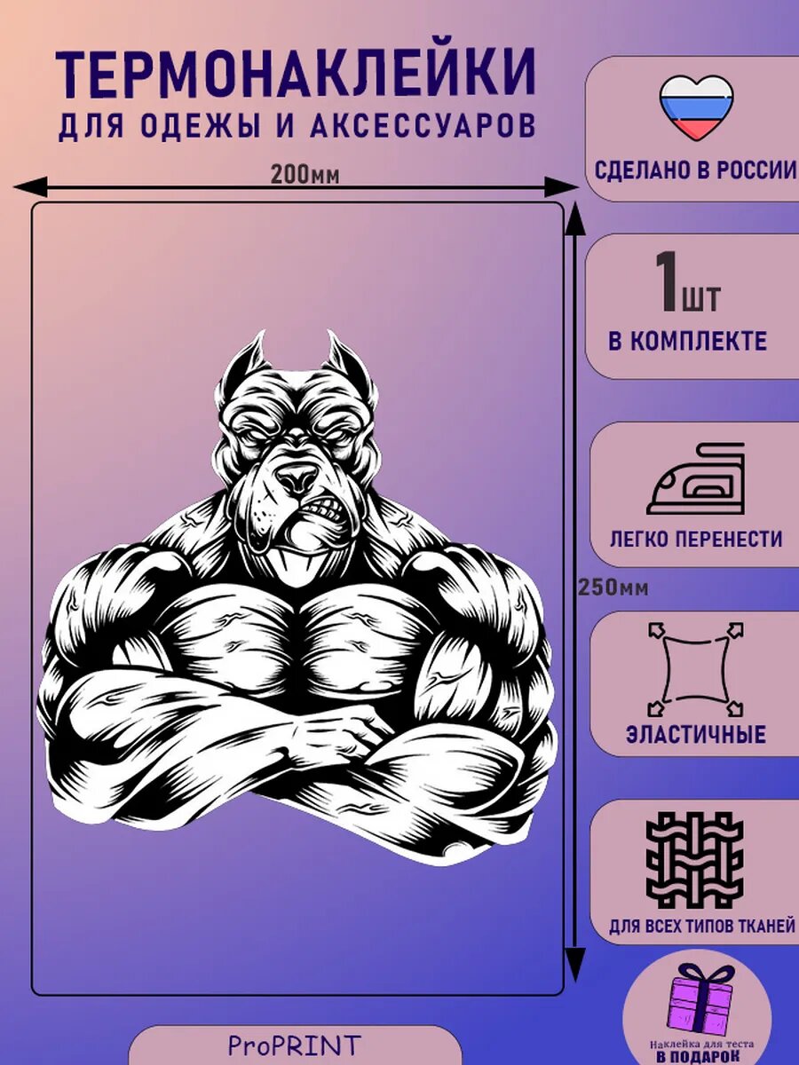Термонаклейка для одежды